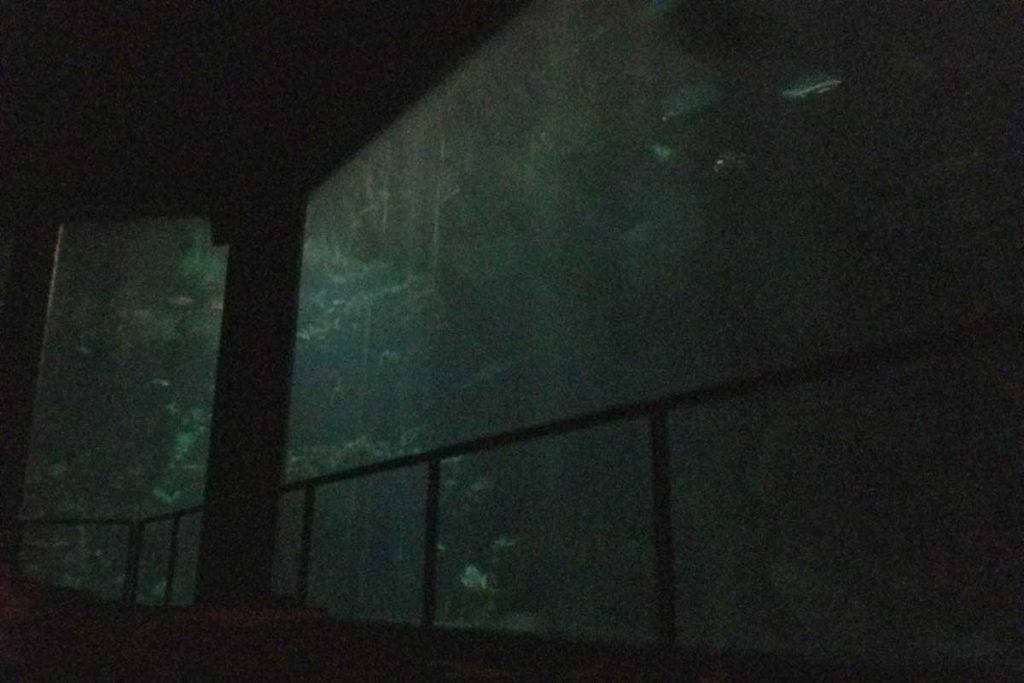 SeaWorld Overnight Program for Scouts & Groups | Greater Houston Moms