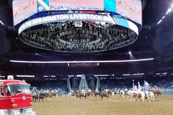 Houston Rodeo Family Guide | Greater Houston Moms