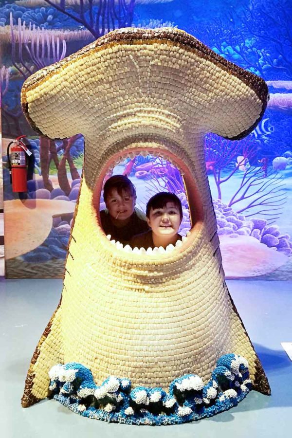 Candytopia! Your Complete Guide | Greater Houston Moms