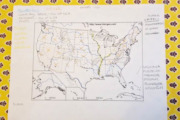 'The Raft' Family Unit Study {Or, how to do a Unit Study for any book ...
