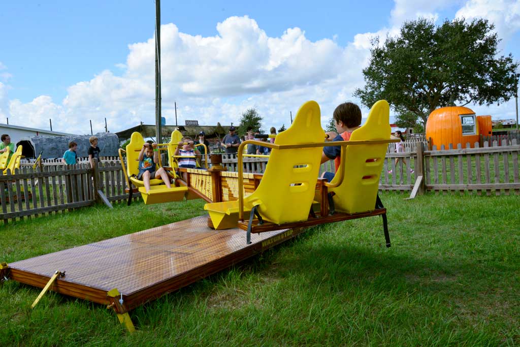 Dewberry Farm: Fall Farm Fun! | Greater Houston Moms