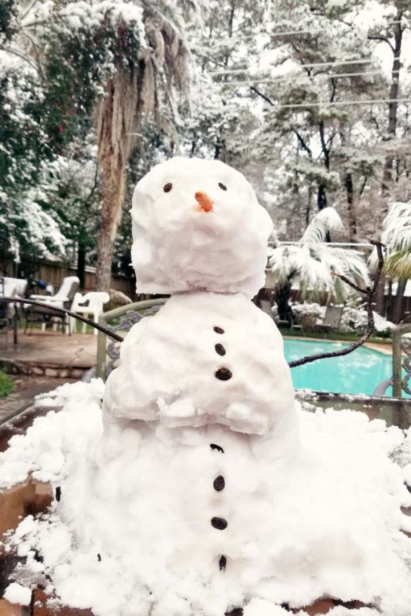 Play in Real Ice & Snow in Houston! | Greater Houston Moms