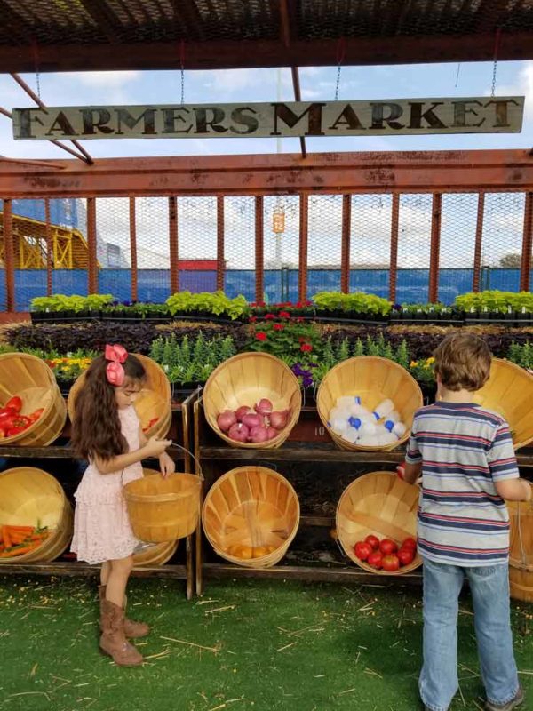 Houston Rodeo Family Guide | Greater Houston Moms