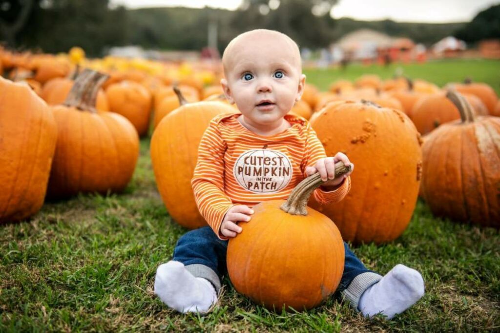 Pumpkin Patch Perfection: Your Guide to Houston's Best Patches and ...