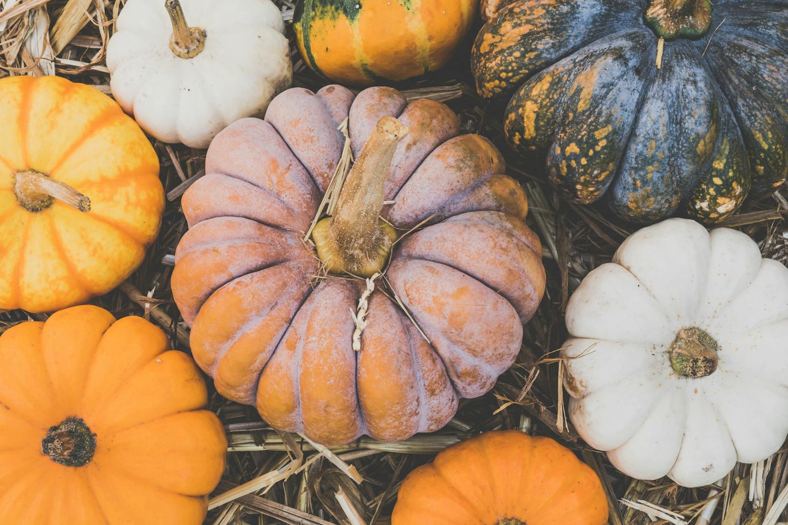 SEPT 28 - NOV 03 | P-6 Farms Pumpkin Patch, Fall Festival and Corn Maze ...
